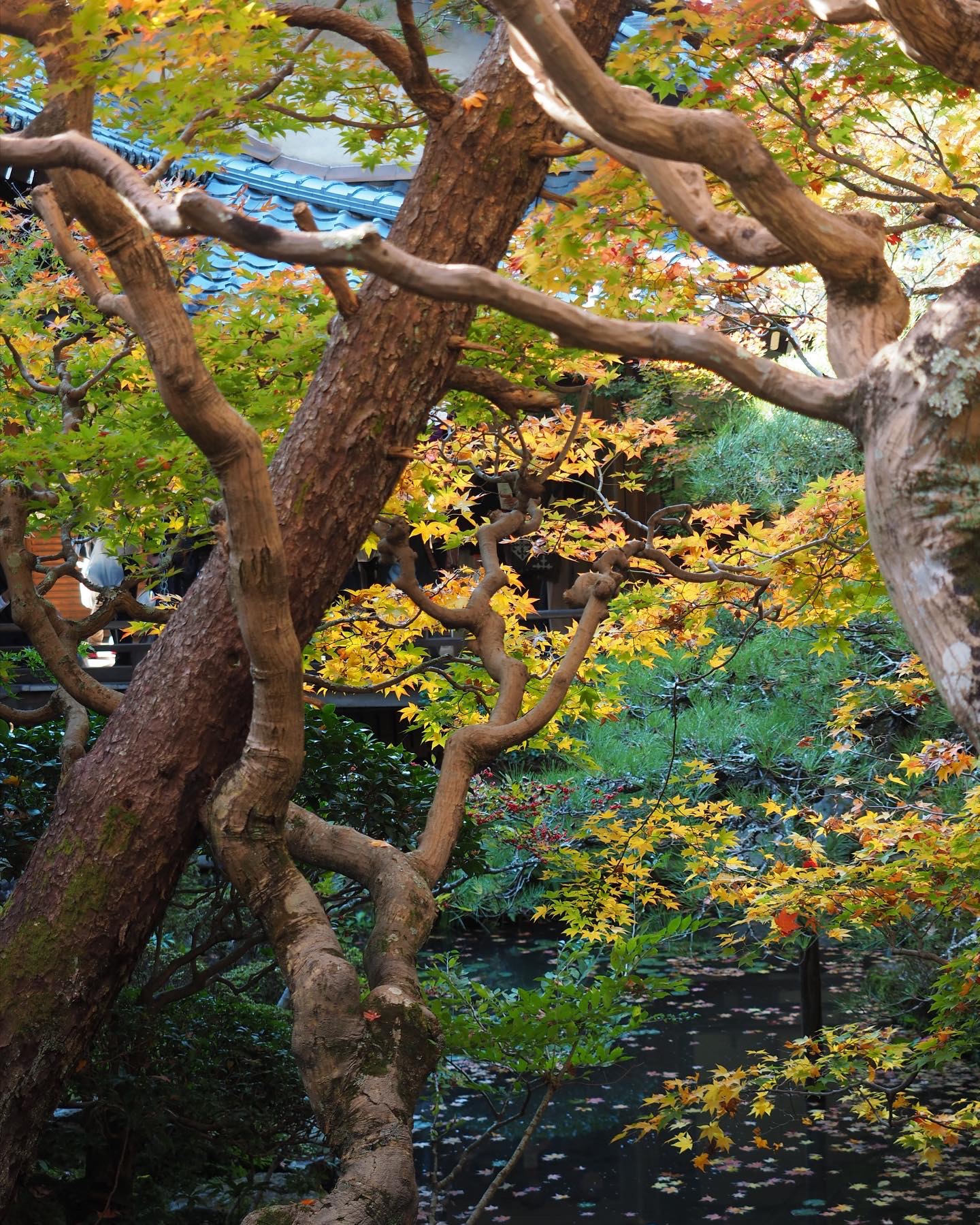 Kyoto, Japan (Part two) – jessicasabo.com