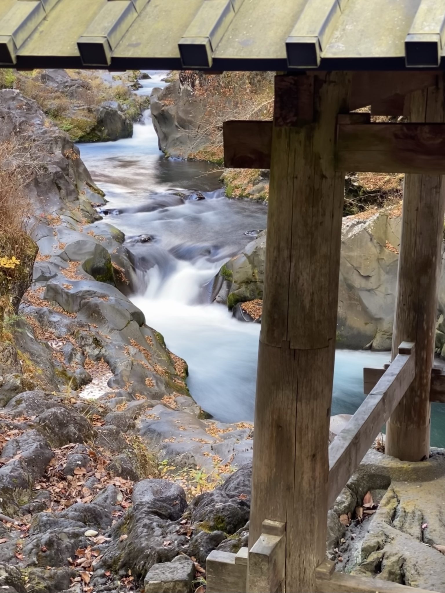 Nikko, Japan – jessicasabo.com